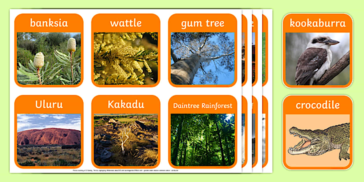 Australian Icon Memory Game (teacher made) - Twinkl