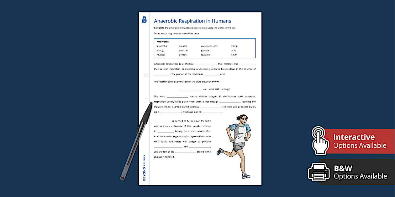 Anaerobic Respiration in Humans Gap Fill Worksheet - Twinkl