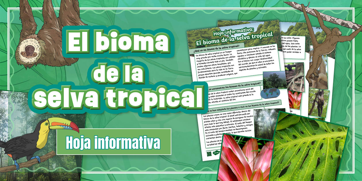 Hoja informativa: El bioma de la selva tropical