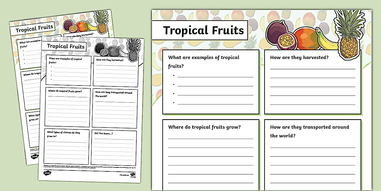 Tropical Fruits Fact File Template (teacher made) - Twinkl
