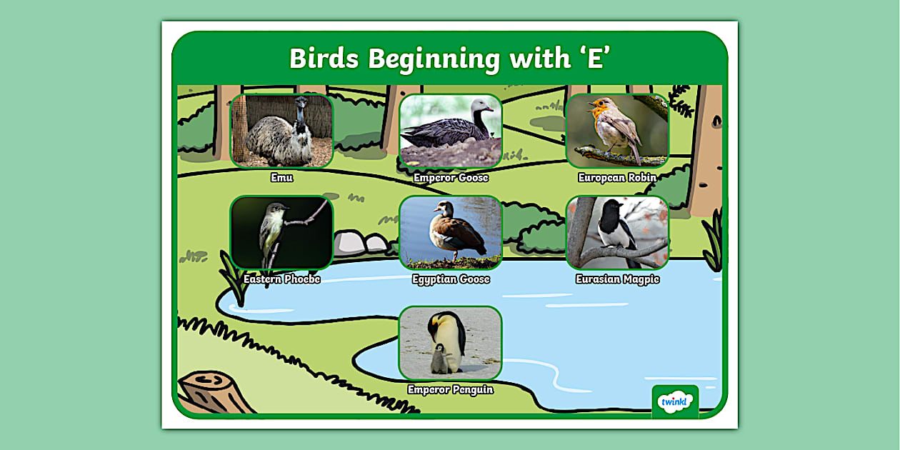Birds That Start with the Letter 'E' Word Mat (teacher made)