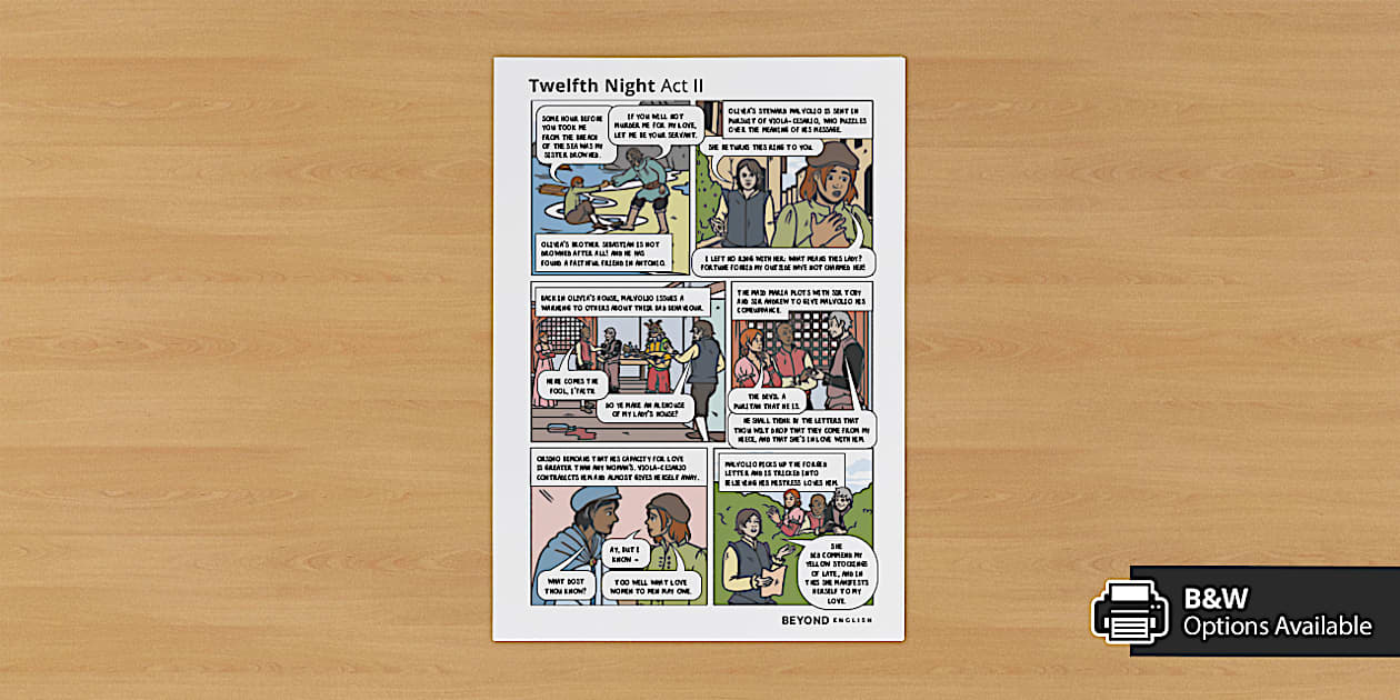 Twelfth Night Graphic Plot Comic Strip | Act II KS3 English