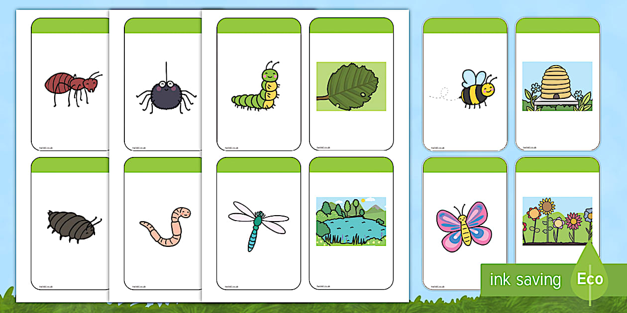 Tarjetas de emparejar: Los bichos y sus hábitats - Twinkl