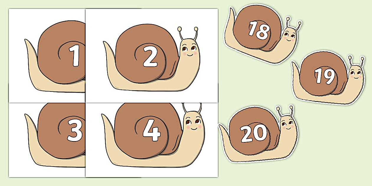 Numbers 0-20 on Snails - Twinkl