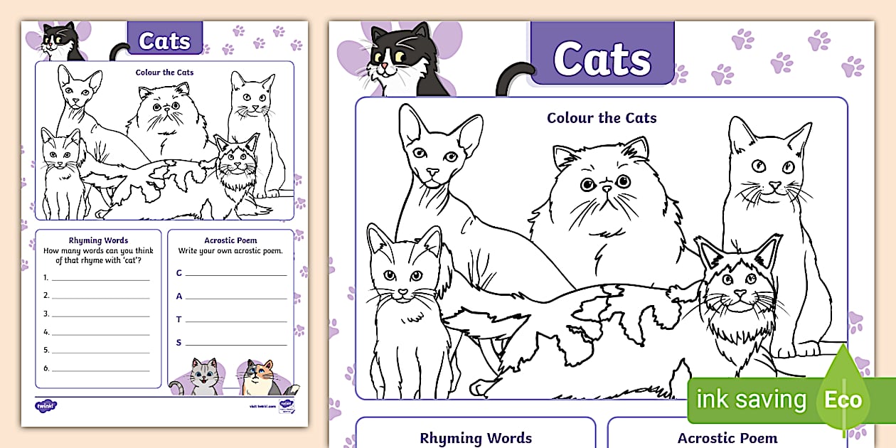 Cats Boredom Buster Worksheet (teacher made) - Twinkl
