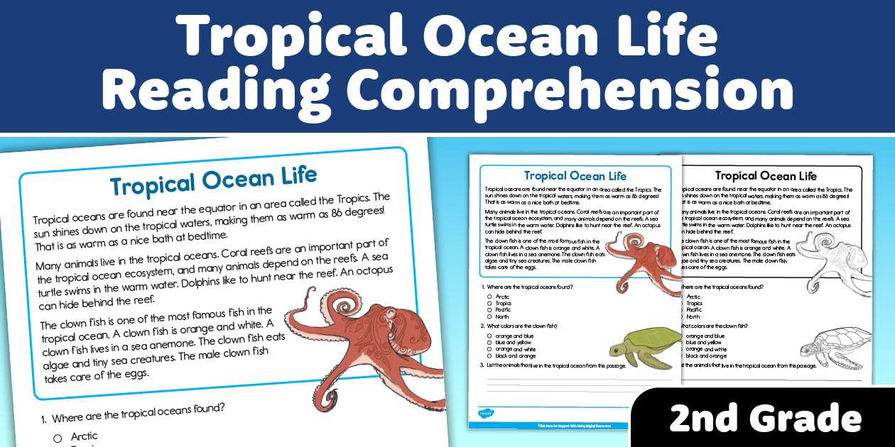 Second Grade Tropical Ocean Life Reading Passage Comprehension
