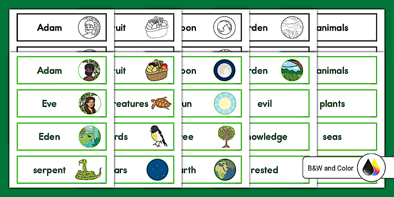 Adam and Eve Creation Story Word Cards (teacher made)