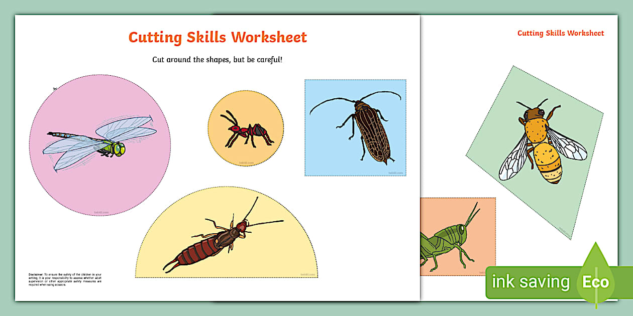 Insects Cutting Skills Worksheet (teacher made) - Twinkl