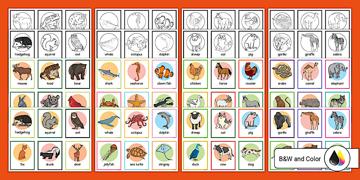 Animal Matching Game | Living Things | Twinkl USA