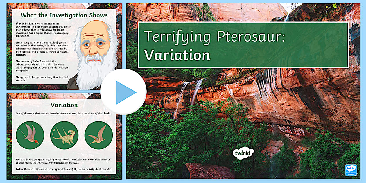 Terrifying Pterosaur: Variation and Evolution PowerPoint