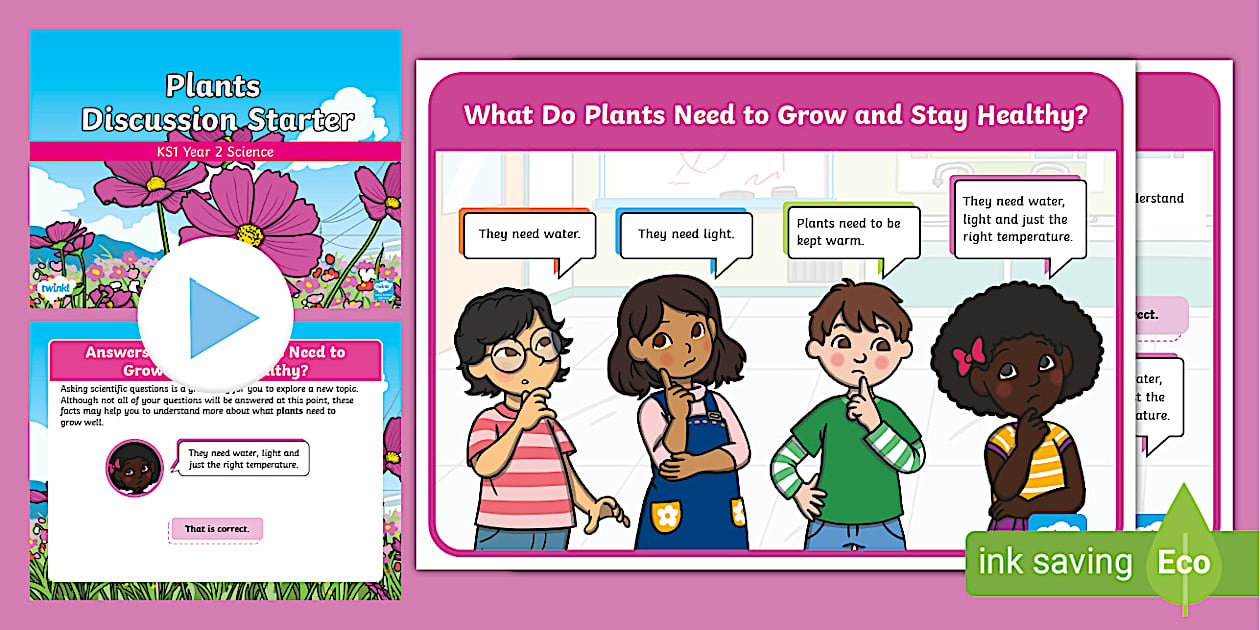 KS1 Year 2 Plants Science Discussion Starter (teacher made)