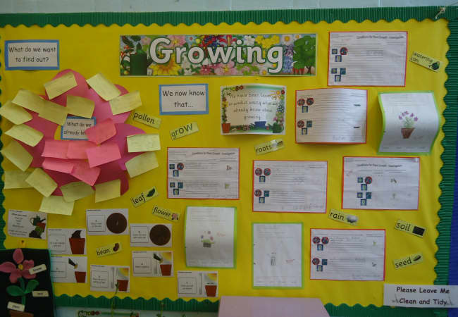 Primary Resources - KS2, KS1, Early Years (EYFS) KS3, KS4, Twinkl