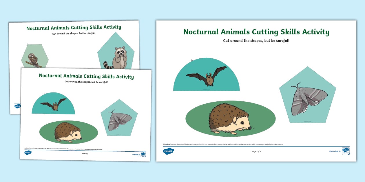 Nocturnal Animals Cutting Skills Activity (teacher made)