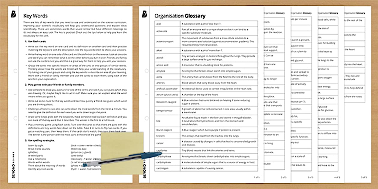 GCSE Biology Organisation Glossary | Beyond Science - Twinkl