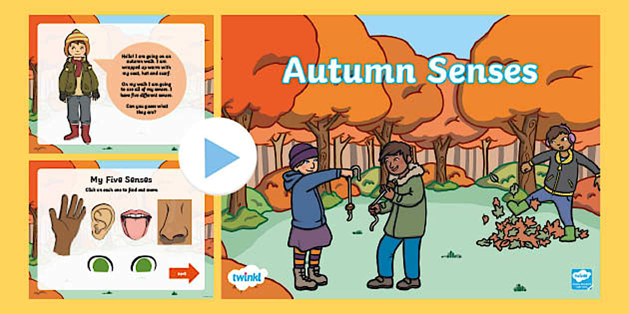 EYFS Autumn Senses PowerPoint (teacher made) - Twinkl