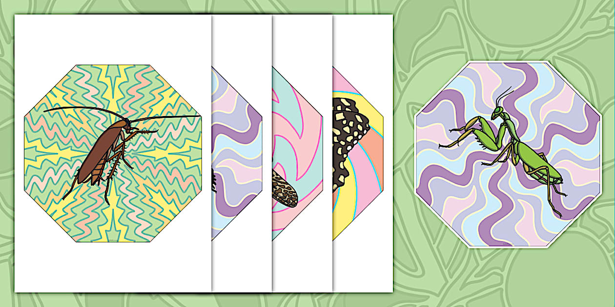 Insects Octagon Display Shapes | Twinkl (teacher made)