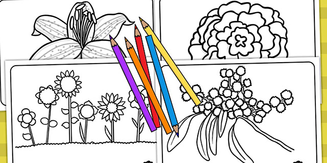 Flower Colouring Pages | Creative | Primary Resources