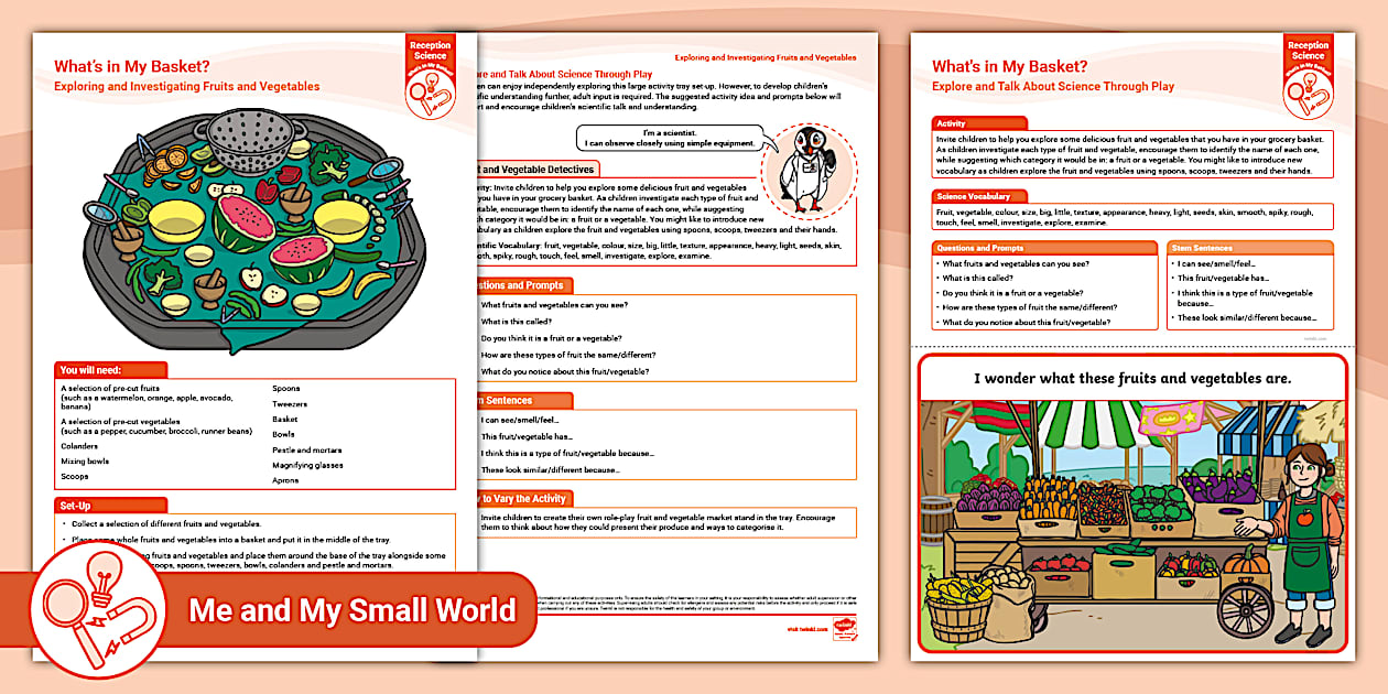 EYFS Science Large Activity Tray: What's In My Basket?