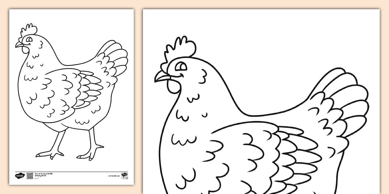 Chicken Colouring Sheet | Colouring Pages (teacher made)