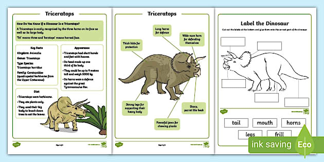 F-2 Triceratops Fact File | Dinosaurs | Twinkl - Twinkl