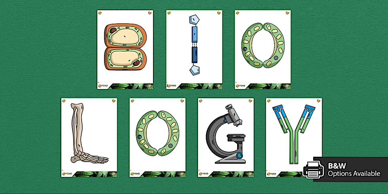 Biology Display Lettering (Teacher-Made) - Twinkl