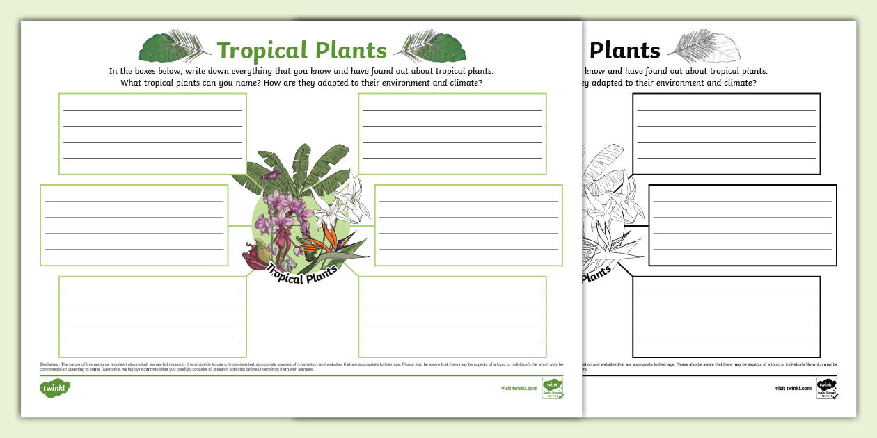 Tropical Plants Mind Map - Twinkl Science - Twinkl