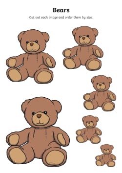 Bear-Themed Size Ordering (teacher made)