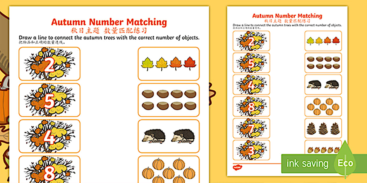 Autumn Themed Number Matching Worksheet English/Mandarin Chinese