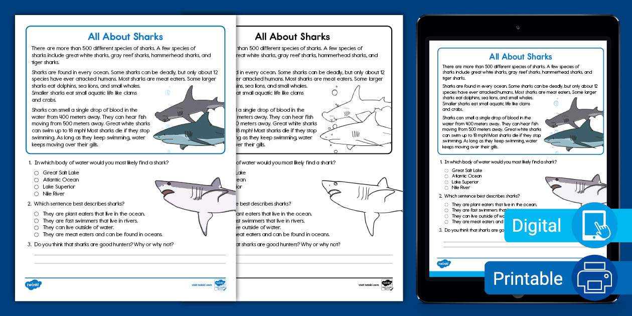 2nd Grade Sharks Reading Comprehension Activity | Twinkl USA