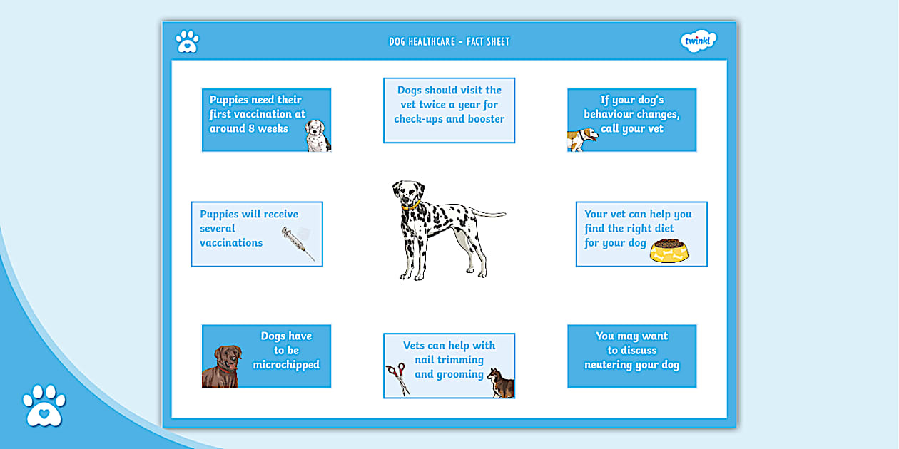 Dog Healthcare - Fact Sheet (teacher made) - Twinkl
