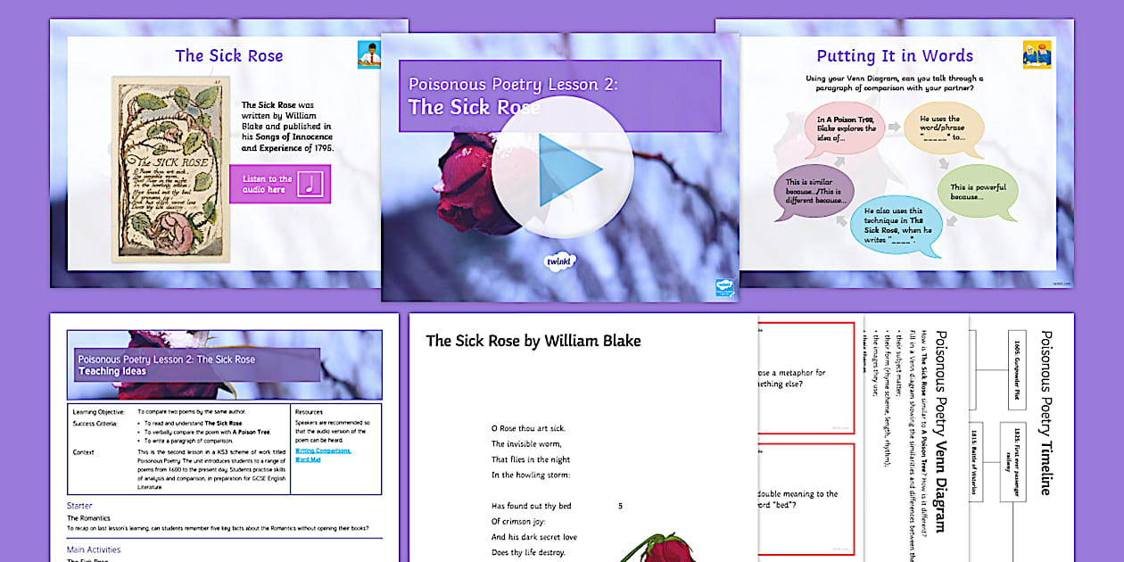 Poisonous Poetry Lesson 2: The Sick Rose (teacher made)