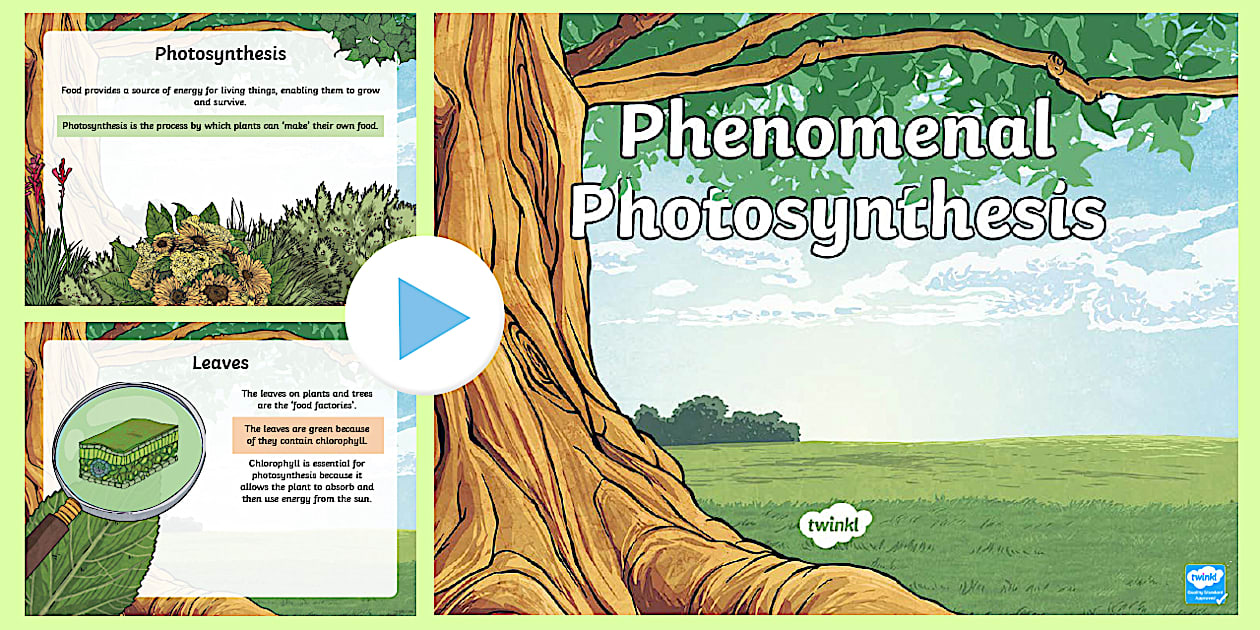 Phenomenal Photosynthesis PowerPoint | Grades 3-5 | Twinkl