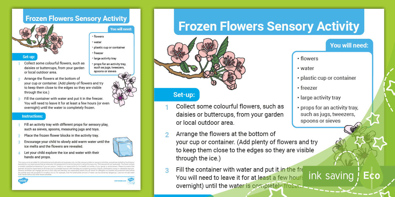 Sensory Frozen Flowers Activity