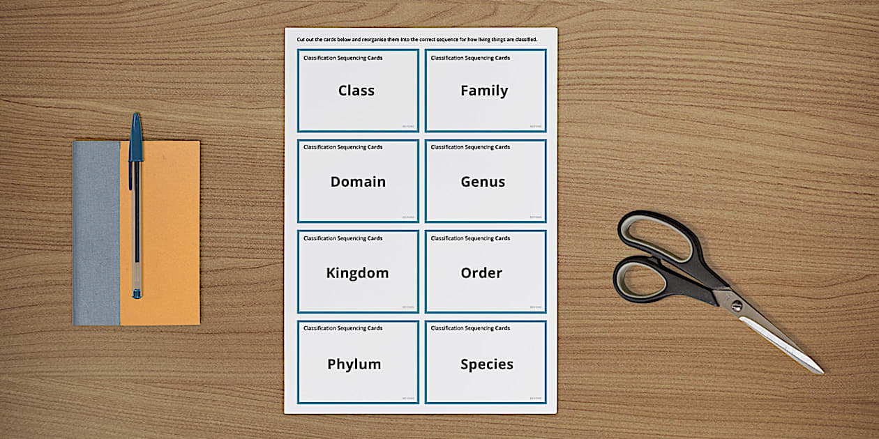 Classification Sequencing Cards (teacher made) - Twinkl