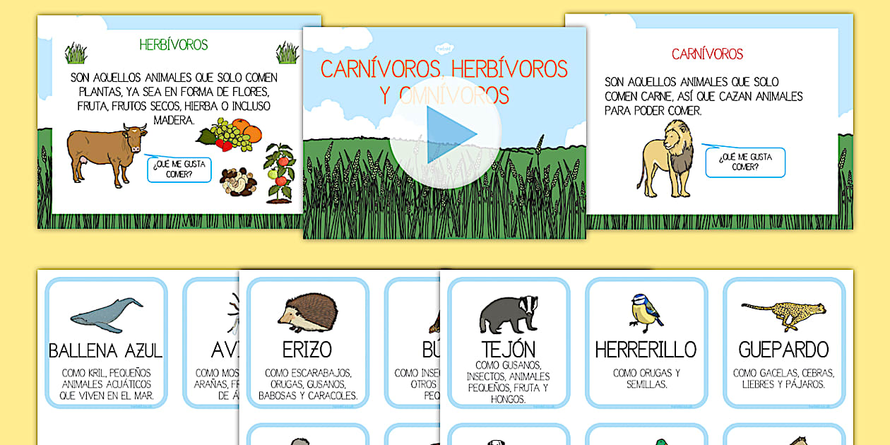 Presentación: Identificando herbívoros, carnívoros y omnívoros