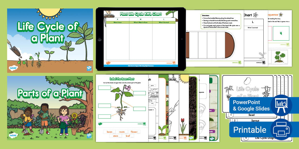 Life Cycle of a Plant Spring Science Unit Pack