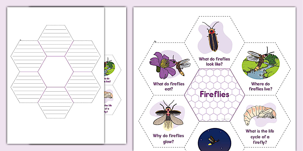 Fireflies Hexagon Writing Template (teacher made) - Twinkl