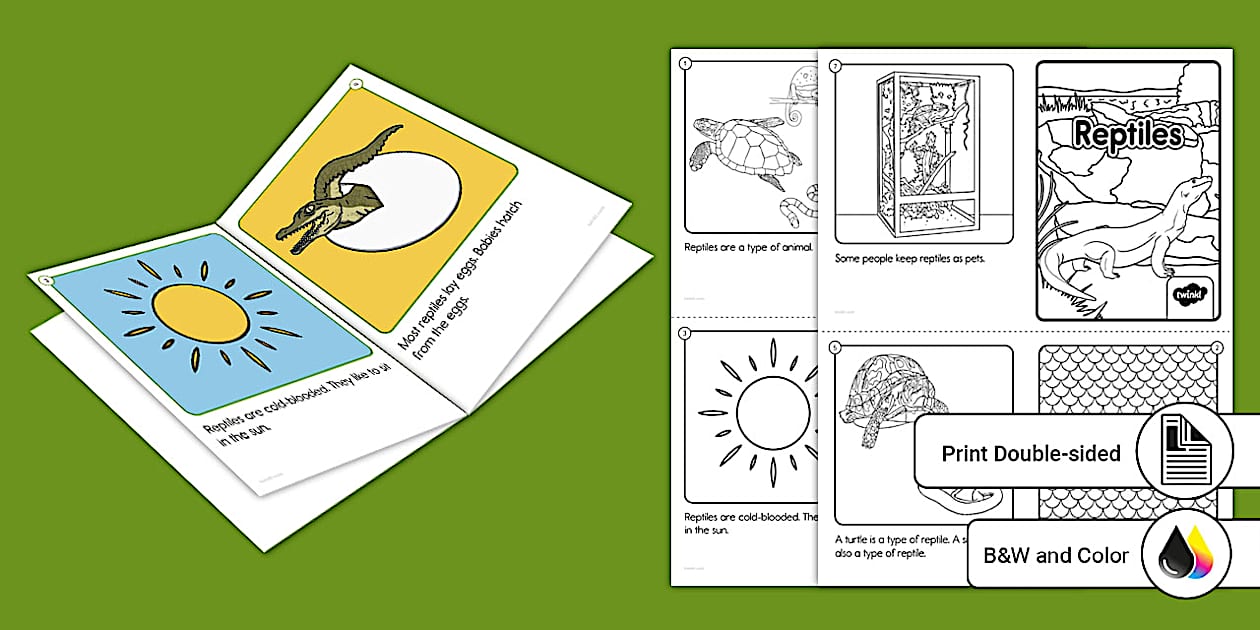 Reptiles Emergent Reader (teacher made) - Twinkl