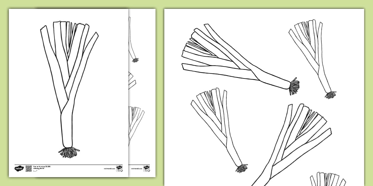 Leek Colouring Pages | Twinkl Resources Wales (teacher made)