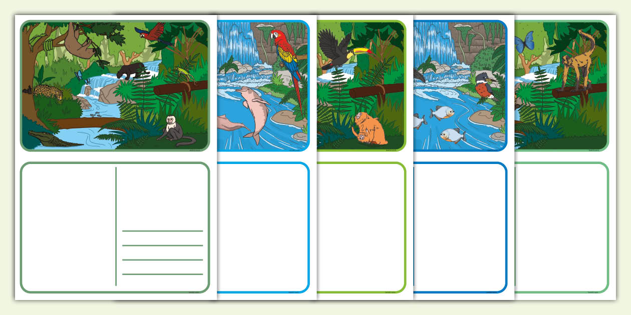 Rainforest Postcards | Twinkl (teacher made) - Twinkl