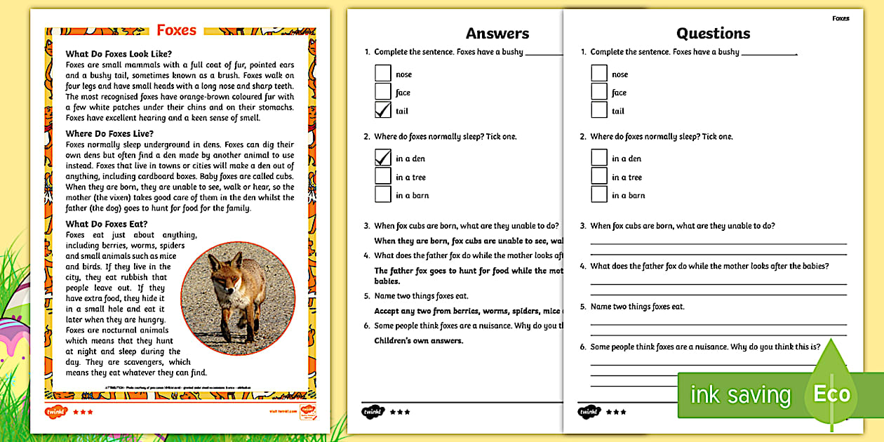 KS1 Differentiated Reading Comprehension Fox Activity