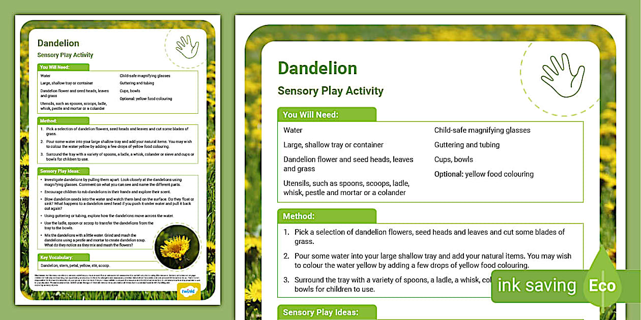 EYFS Dandelion Sensory Play Activity | Nature | Twinkl