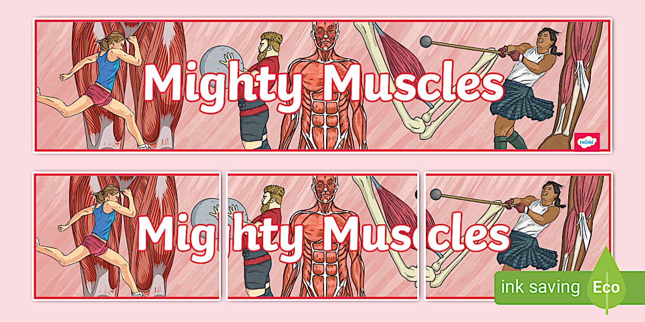 Mighty Muscles Display Banner (teacher made) - Twinkl