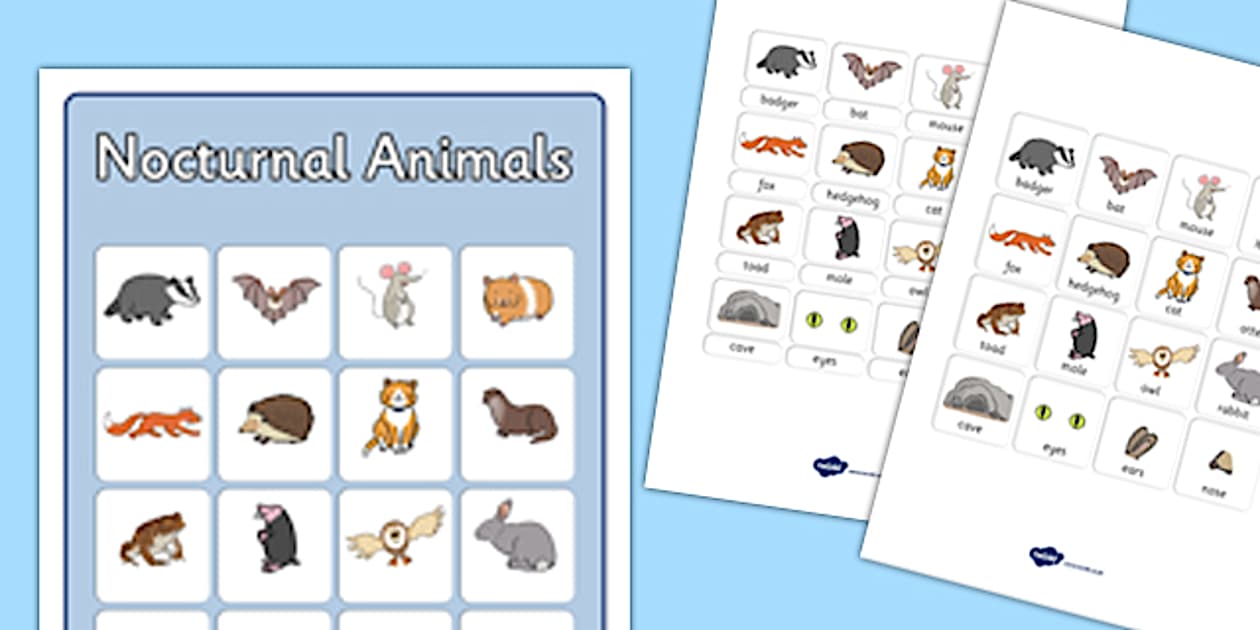 Nocturnal Animals Vocabulary Poster (Teacher-Made) - Twinkl