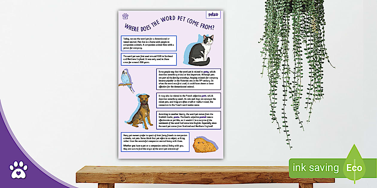 Where Does The Word Pet Come From? - Fact Sheet - Twinkl