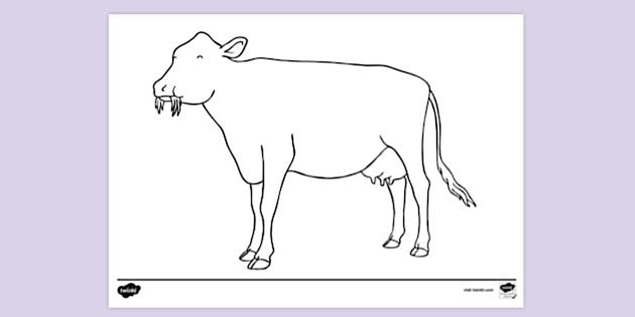 Colouring | Colouring Sheets
