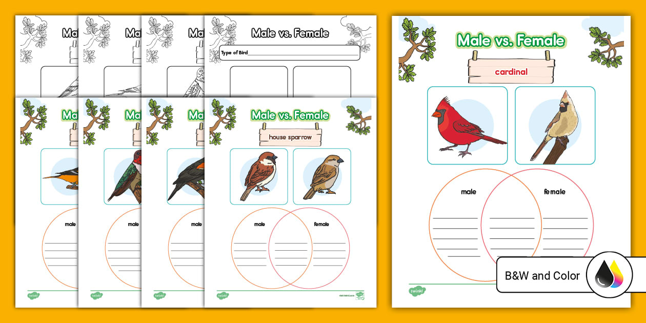 Comparing Male and Female Birds Venn Diagram