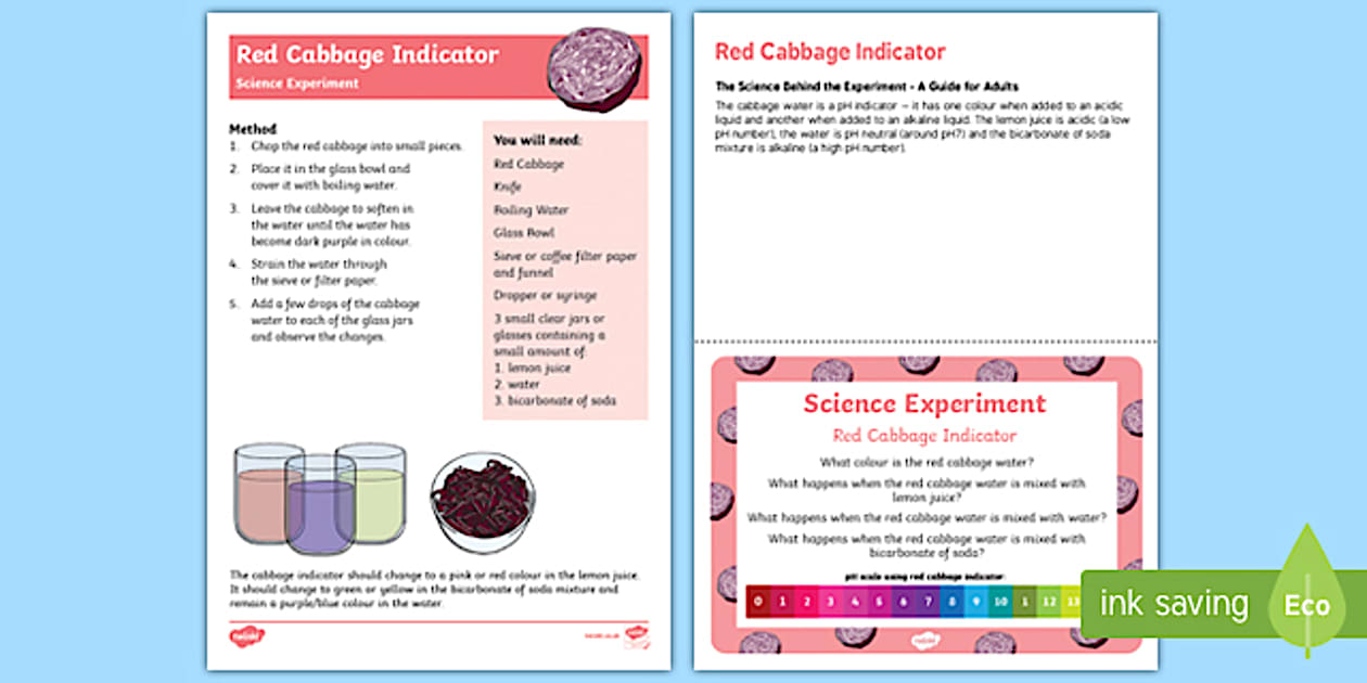 EYFS Red Cabbage Indicator Kitchen Science Experiment