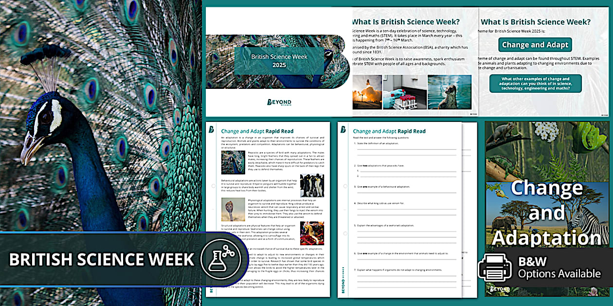 British Science Week Resource Pack | Beyond Science | Twinkl