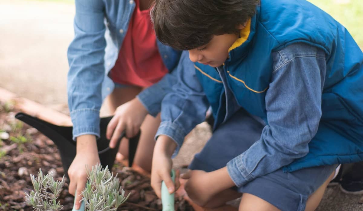 Doing Chores Could Boost Kids’ Brainpower - Twinkl NewsRoom
